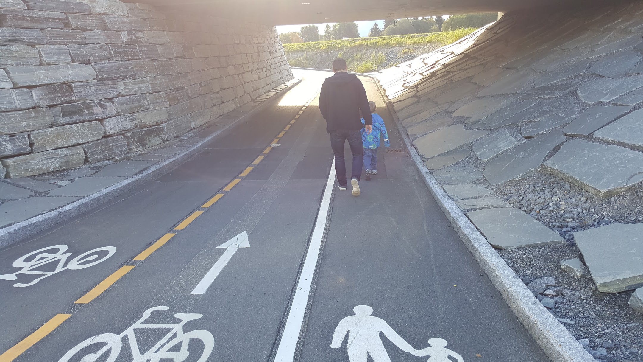 Trygg Trafikk Nordland - Trygg Trafikk - Fylkeskontorer